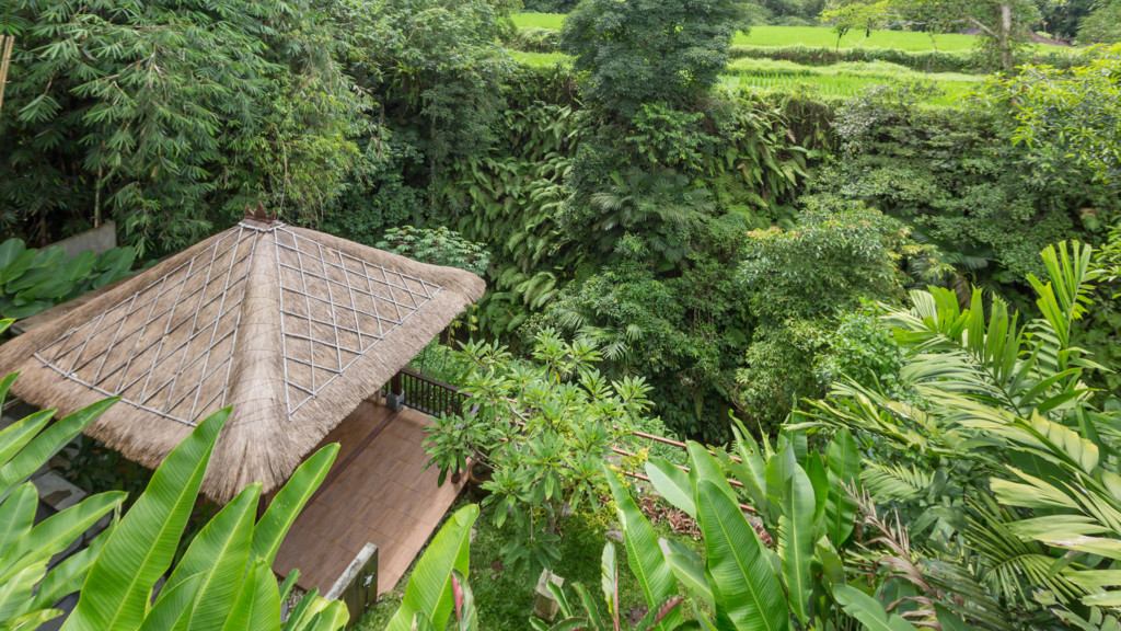 Villa Atap Padi in Ubud, Bali - 4 bedrooms - Best Price Guarantee